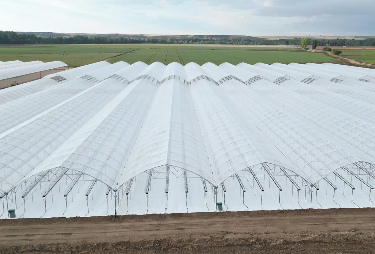 Total Solution: Gutters under Gothic Tunnels with Irrigation