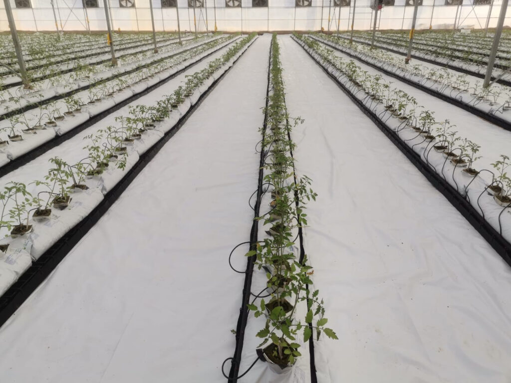 HS Hydropot System - Hydroponic Systems