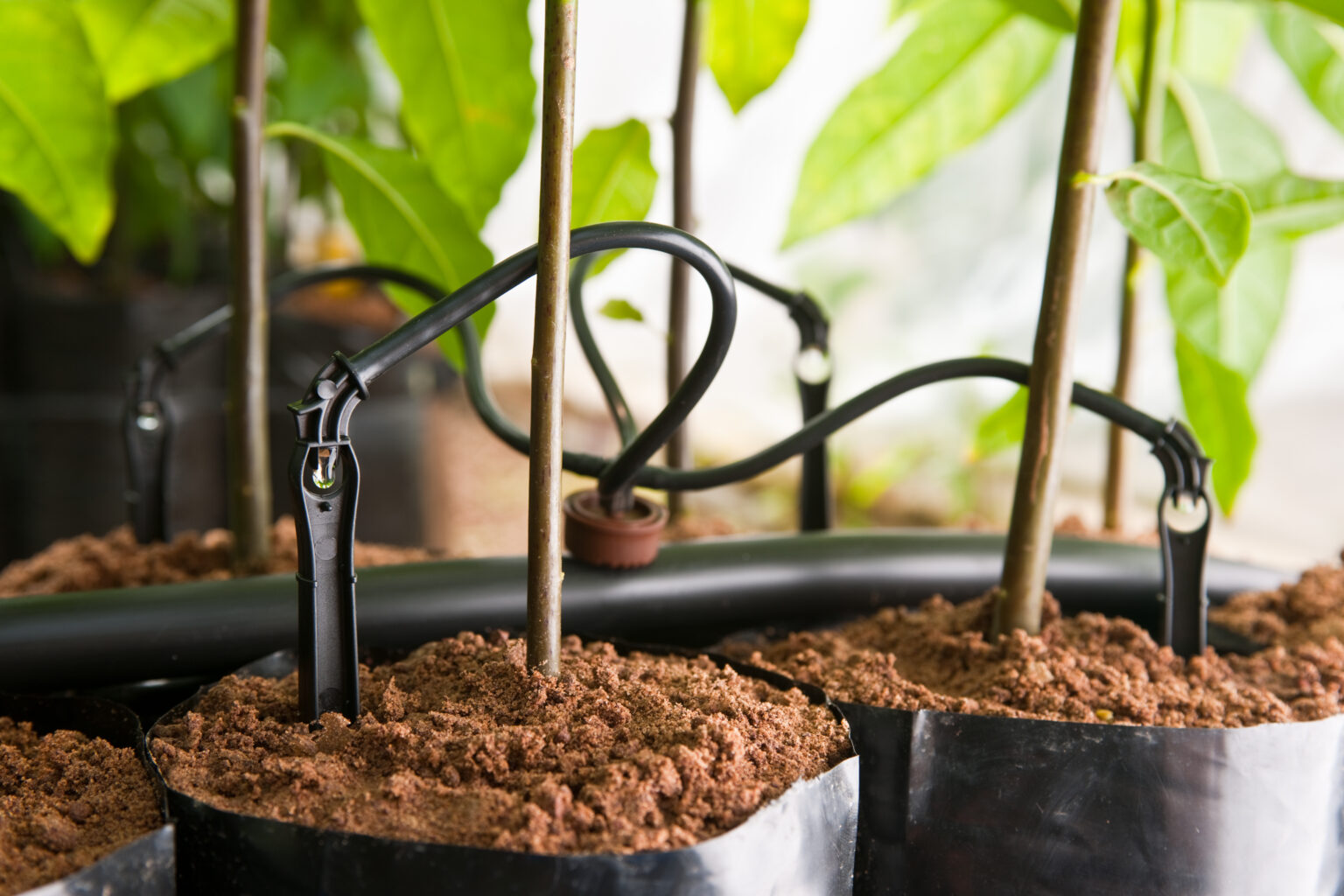 Complete Guide to Hydroponic Growing - Hydroponic Systems